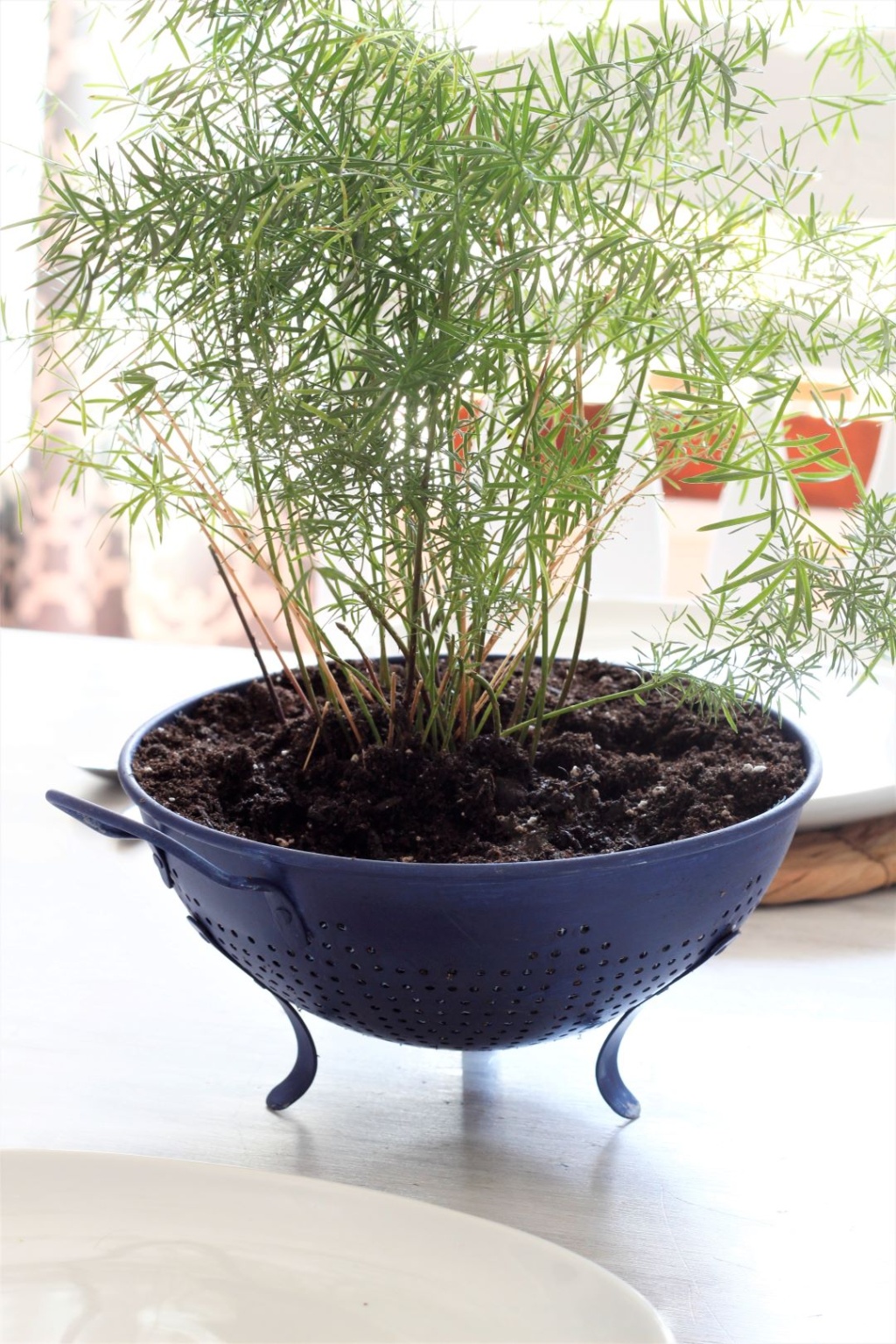 Colander Planter - Pallet and Pantry